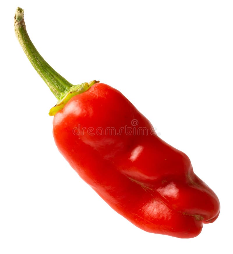 Creative Concept Flying Red Chilli on White Stock Image - Image of ...