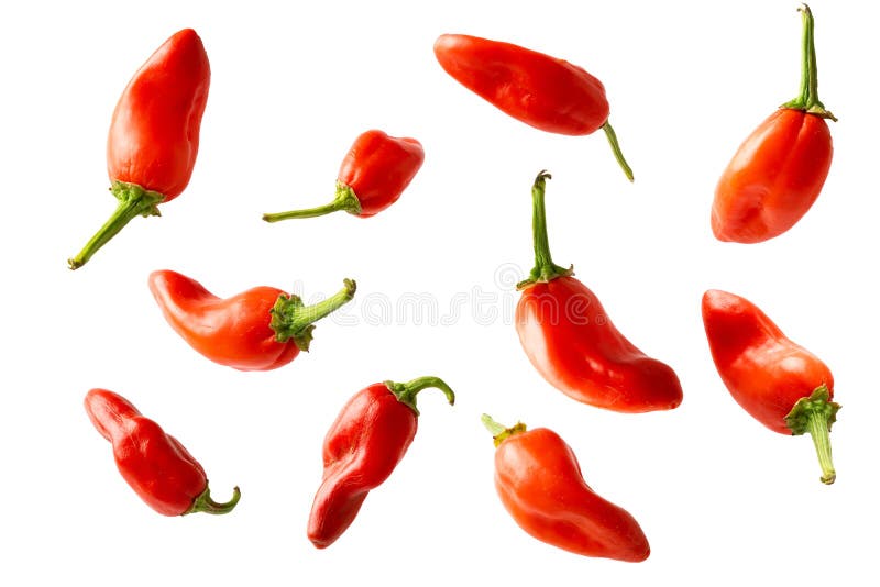 Creative Concept Flying Red Chilli on White Stock Image - Image of ...