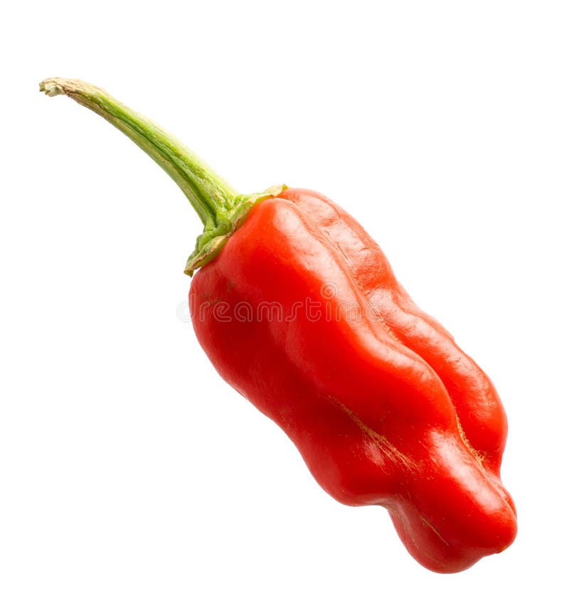 Creative Concept Flying Red Chilli on White Stock Photo - Image of ...