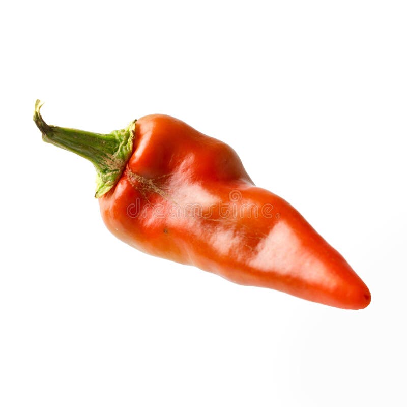 Creative Concept Flying Red Chilli on White Stock Image - Image of ...