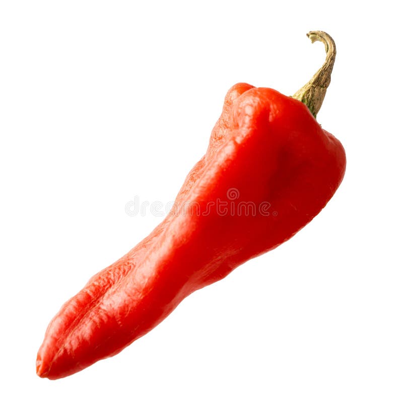 Creative Concept Flying Red Chilli on White Stock Photo - Image of ...