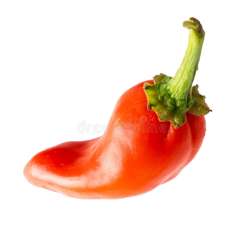 Creative Concept Flying Red Chilli on White Stock Image - Image of ...