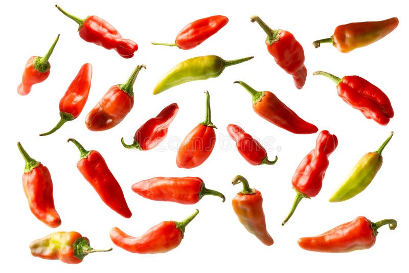 Creative Concept Flying Red Chilli on White Stock Image - Image of ...