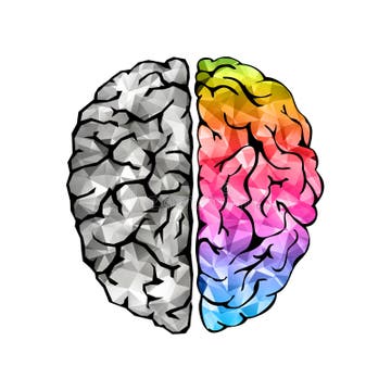 Creative Brain Drawing Stock Illustrations – 14,367 Creative Brain ...