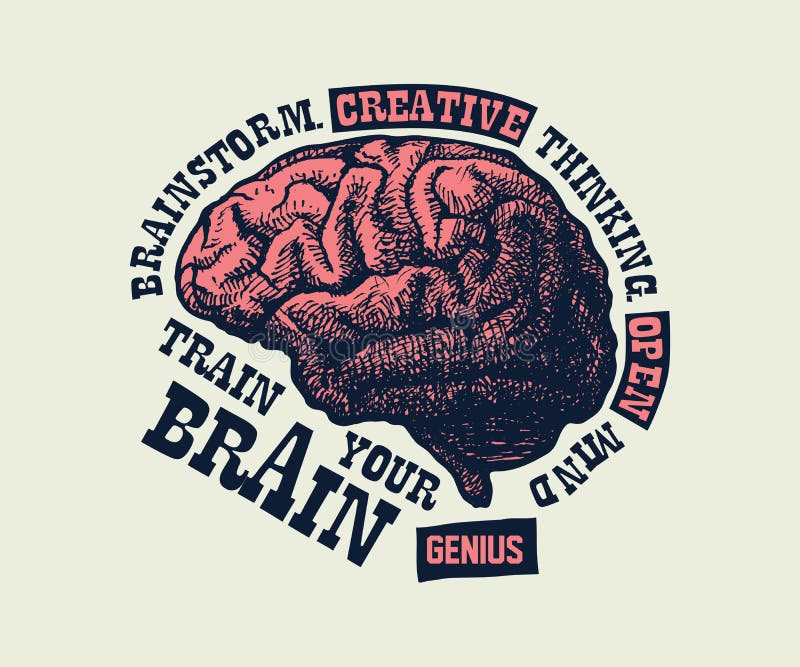 Creative Concept of the Human Brain. Stock Illustration - Illustration ...