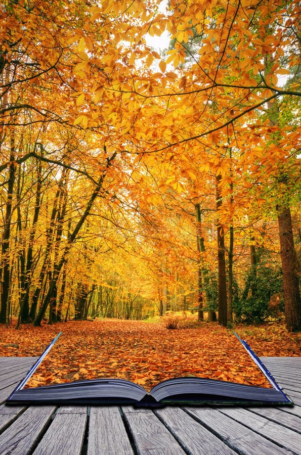 Autumn Fall Forest Landscape Magic Book Pages Stock Image - Image of ...