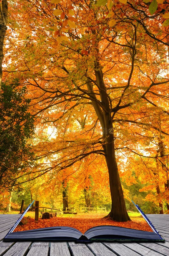 Autumn Fall Forest Landscape Magic Book Pages Stock Image - Image of ...