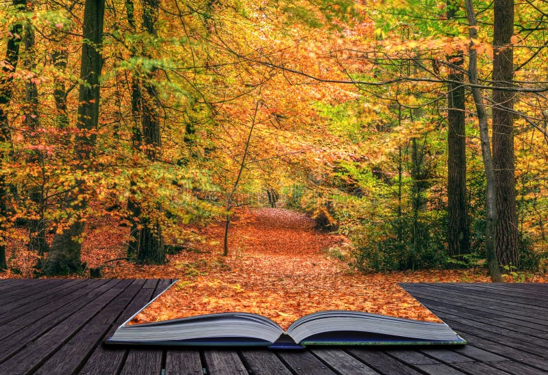 Autumn Fall Forest Landscape Magic Book Pages Stock Image - Image of ...