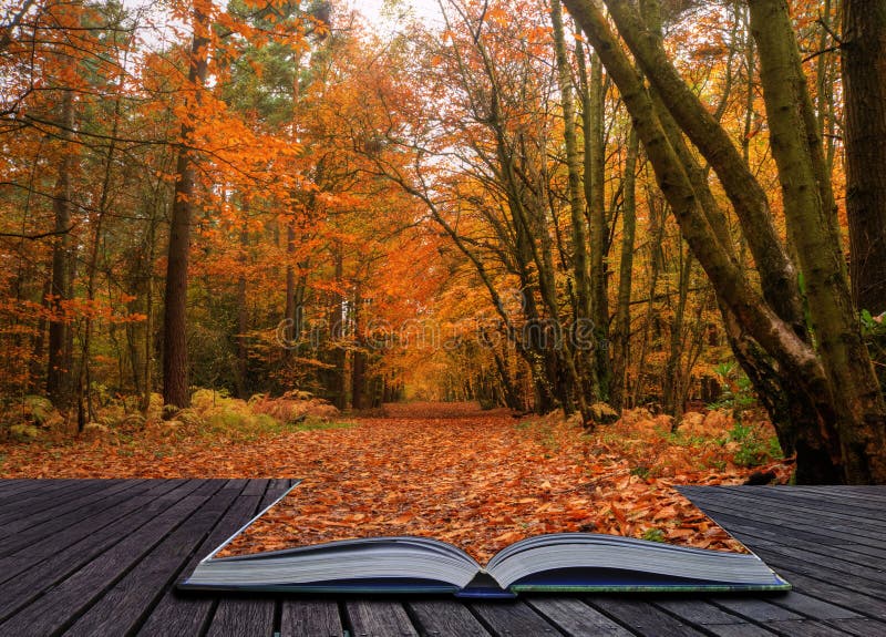 Autumn Fall Forest Landscape Magic Book Pages Stock Image - Image of ...