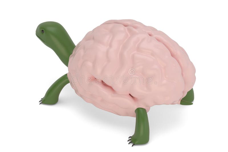 Tired Lazy Turtle Illustration Stock Illustrations – 11 Tired Lazy ...