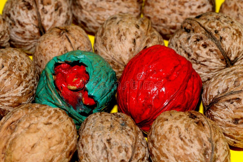 A Lot of Nuts in Which One is Green with Red Nucleus and One Red Stock ...