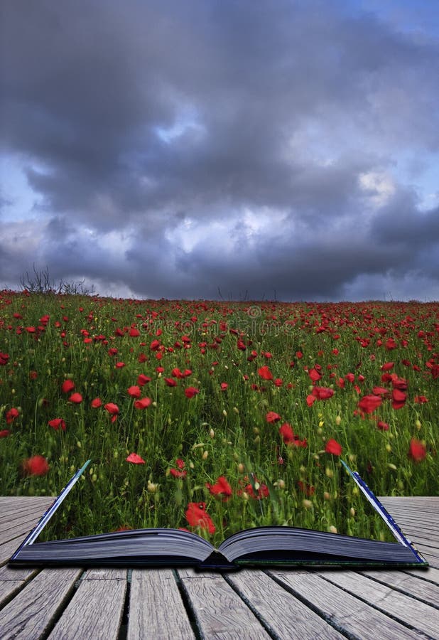 Creative Concept Poppy Field Magic Book Stock Photo - Image of natural ...