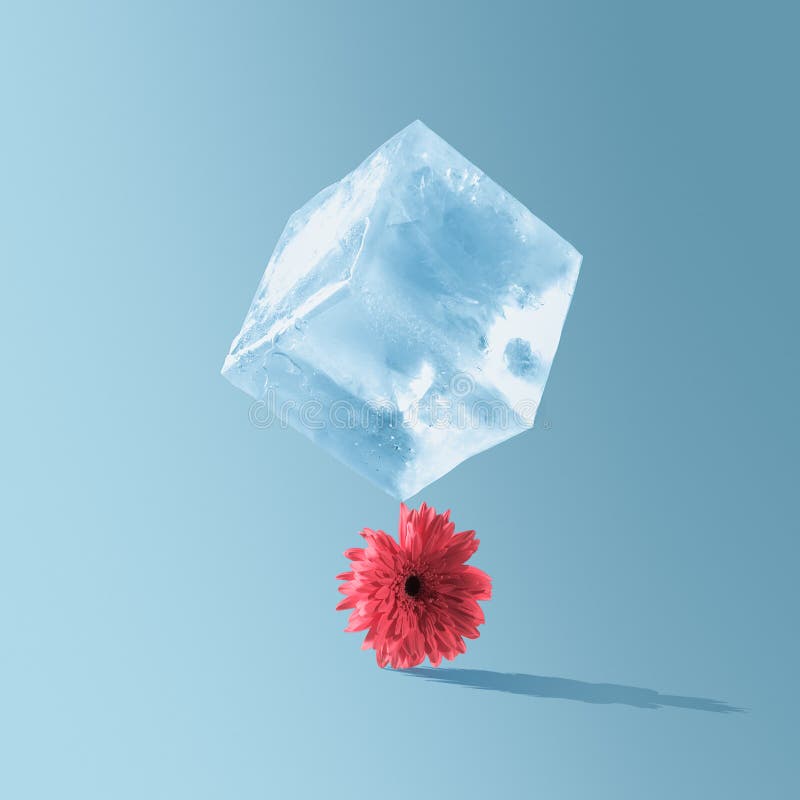 Creative Concept of Spring on a Blue Background. Ice Cube Balances on a ...
