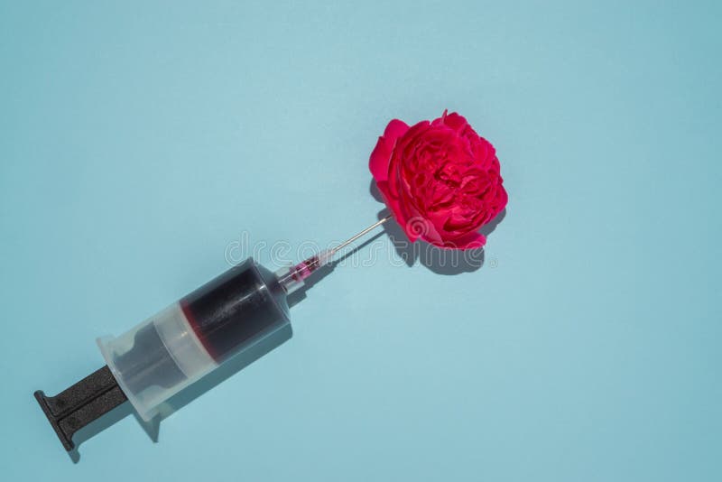 Creative Concept Syringe and Red Rose Stock Photo - Image of pastel ...