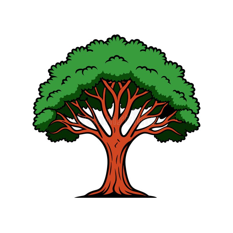 Creative Cork Oak Tree Illustration on Clean Canvas Stock Illustration ...