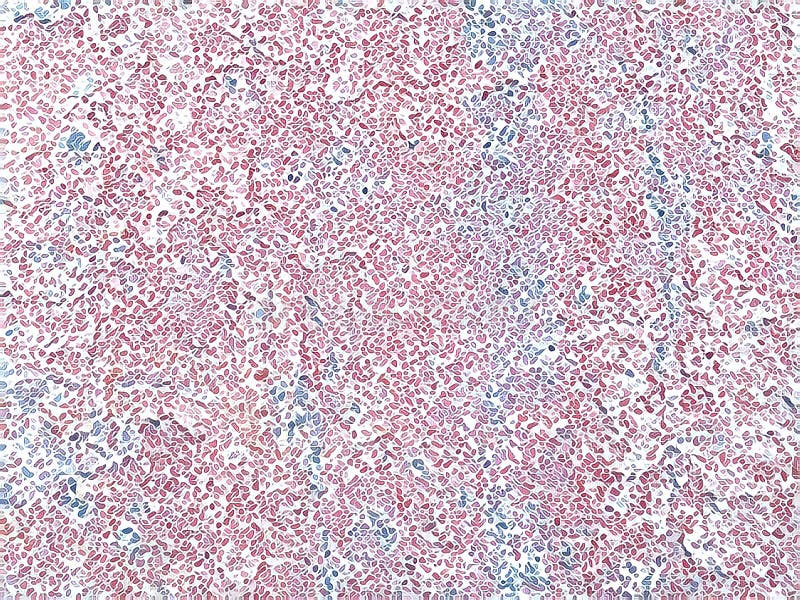 Creative Custom Background Texture Stock Illustration - Illustration of ...