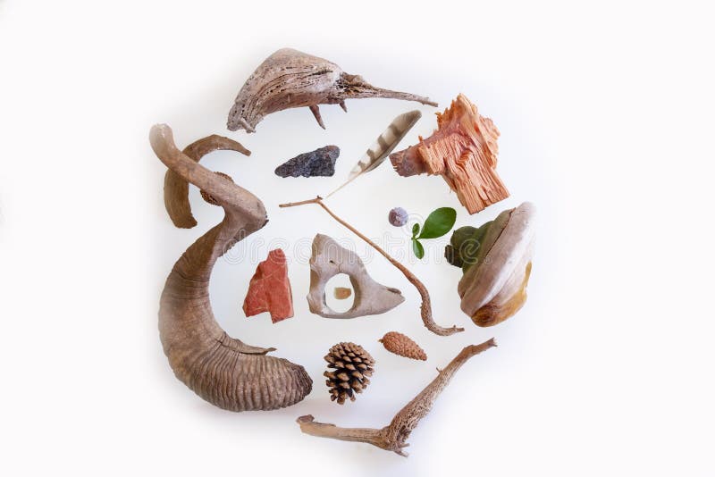 Creative Decorative Crafts with Natural Materials Found in Forests and ...