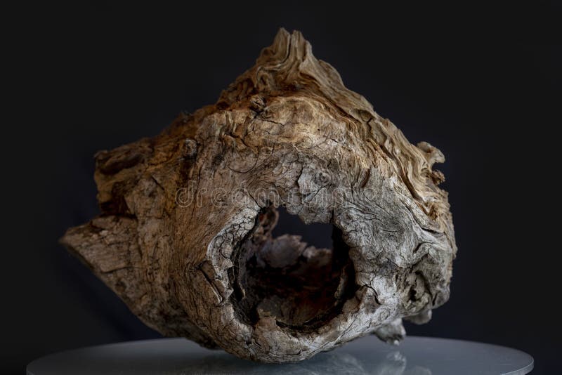 Creative Decorative Trunks Made of Dry Trees and Stumps Stock Photo ...