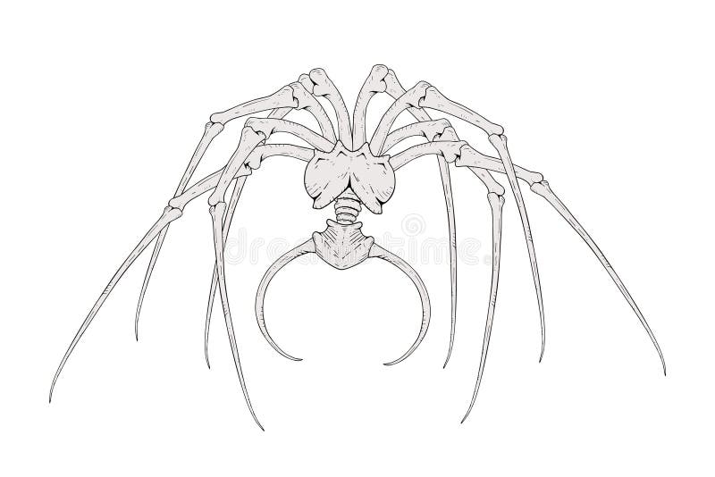 Apollo 18 Alien Spider