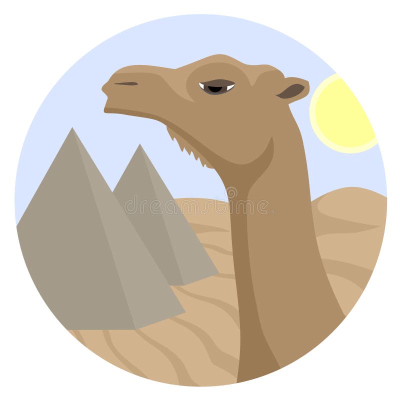 Icon camel stock vector. Illustration of pyramids, dromedary - 29802607