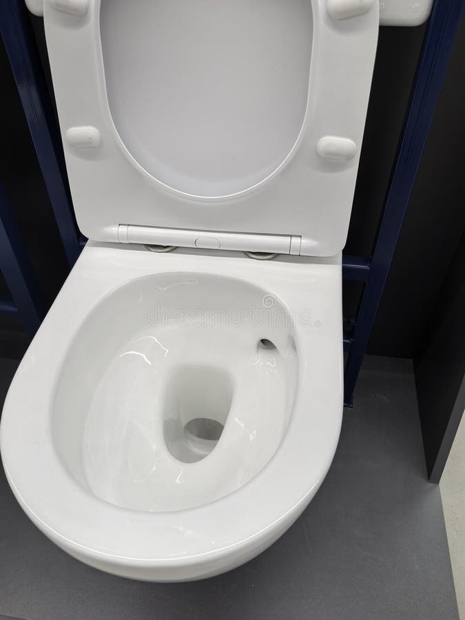 Creative Design of a Modern Toilet Displayed in a Restroom Setting ...