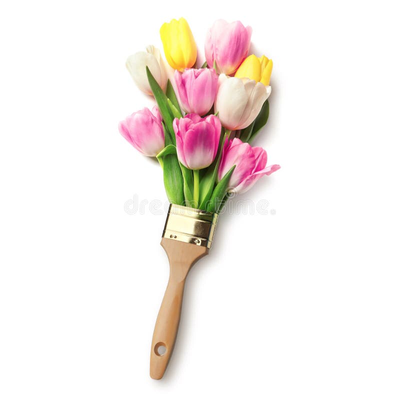 Creative Design with Paint Brush and Beautiful Tulips on White ...