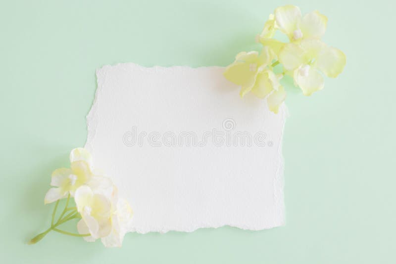 Mockup of a White Paper Card on Pastel Background Stock Image - Image ...