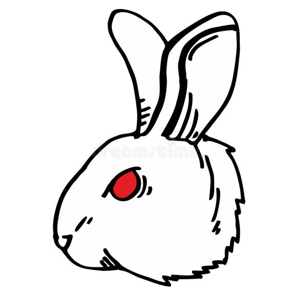 Rebel rabbit draw stock vector. Illustration of mammal - 257469538