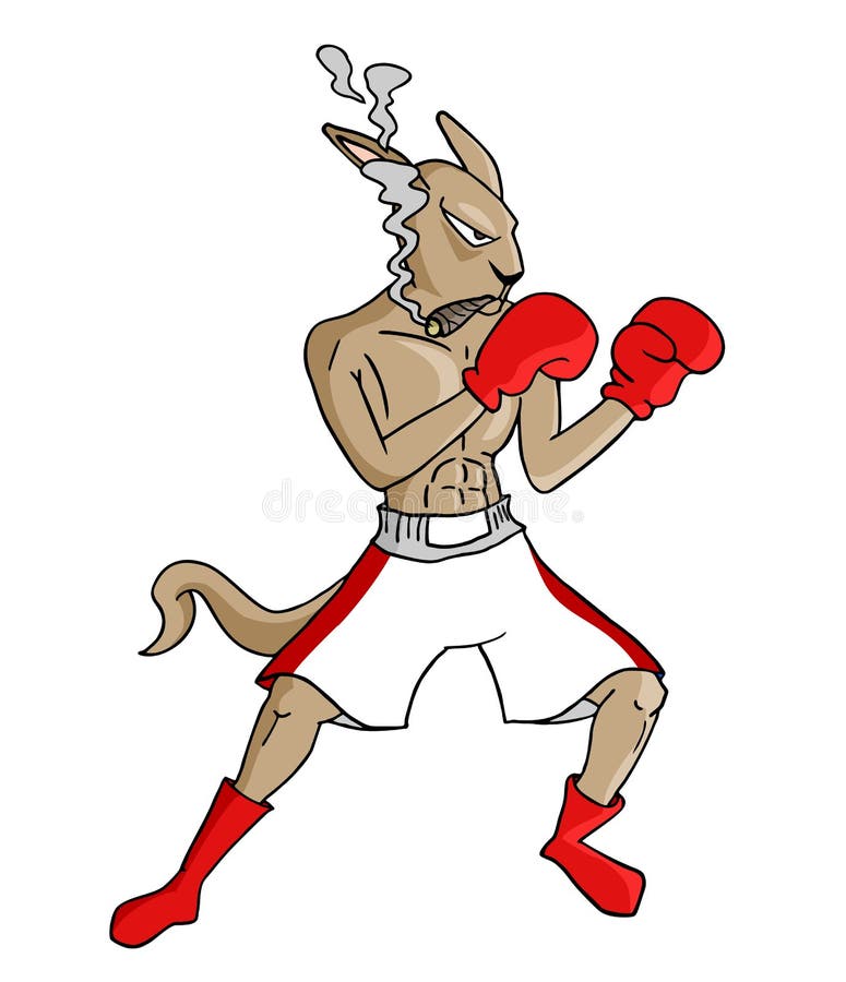 Smokingboxing Kangaroo Illustration Stock Vector - Illustration of ...