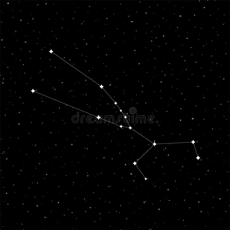 Taurus constellation stock vector. Illustration of stars - 117534302