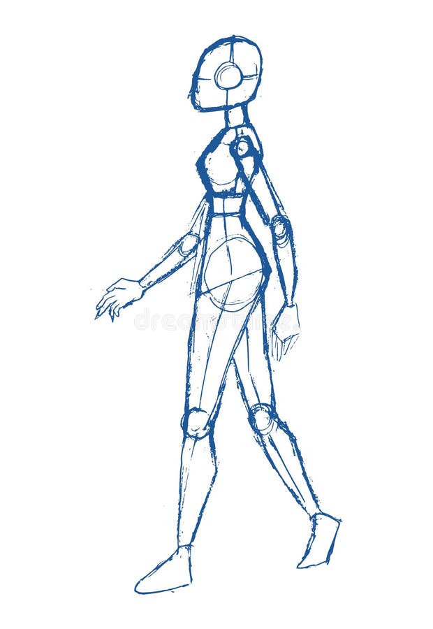 Female Body Drawing Reference How To Draw The Female Body Complete