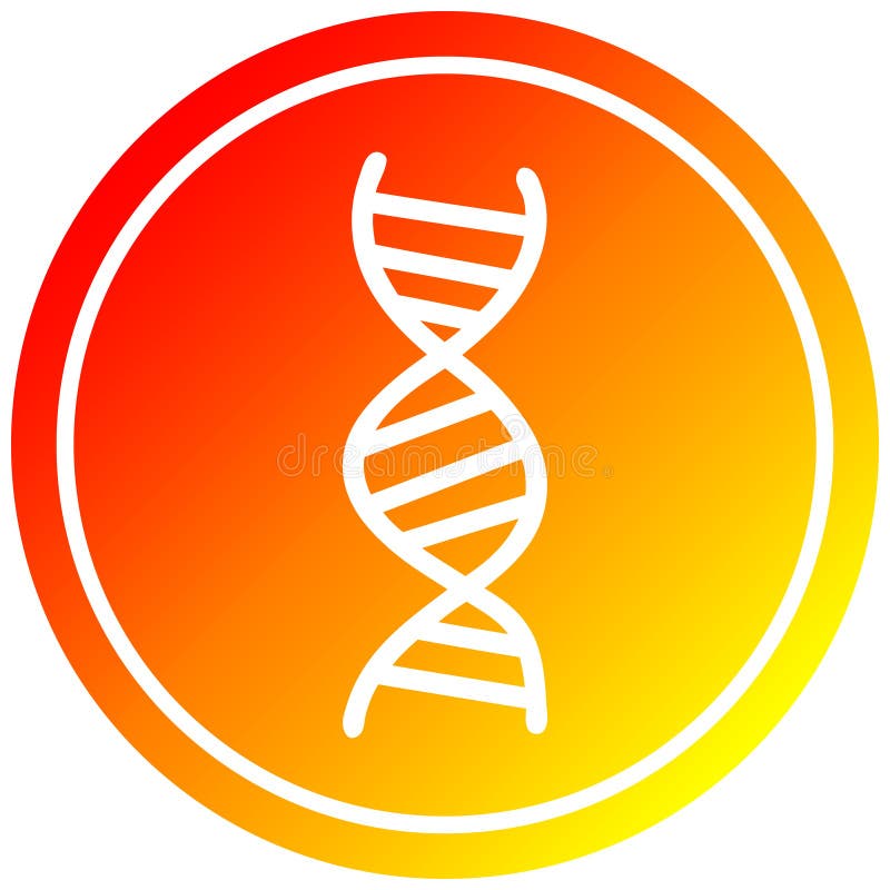 DNA chain circular icon stock vector. Illustration of icon - 149225796