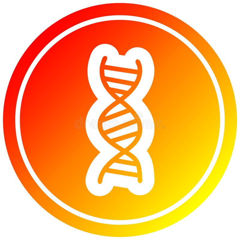 A Creative DNA Chain Circular in Hot Gradient Spectrum Stock Vector ...
