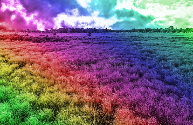 Creative Dynamic Multicolored Abstract Background Landscape with Field ...