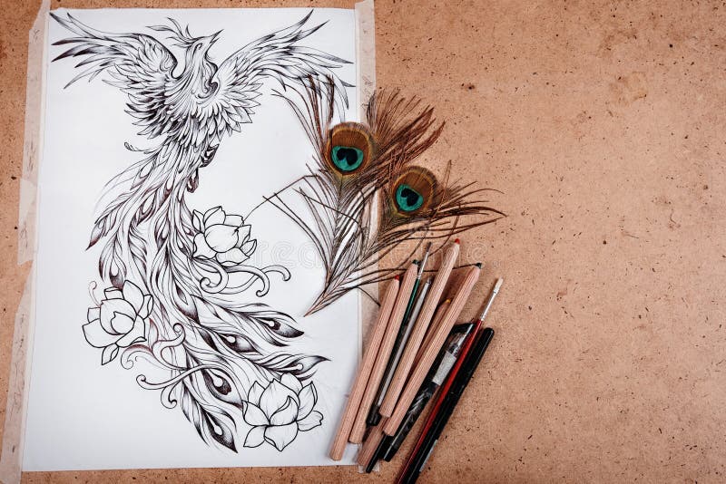 The Creative Environment of the Artist Drawing a Beautiful Picture ...