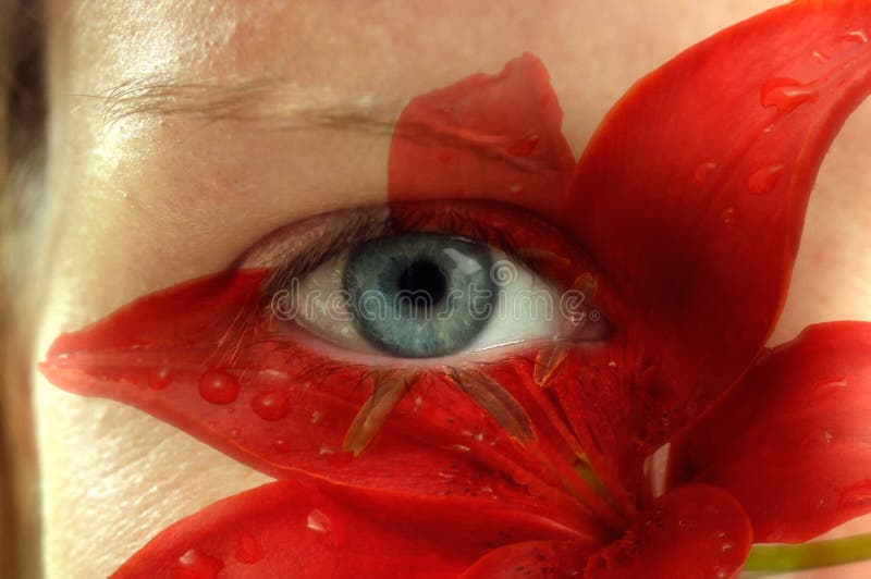 Creative Eye stock photo. Image of masquerade, creativity - 16851918