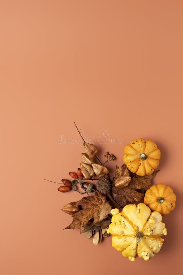 Creative Fall Layout Made of Autumn Leaves. Stock Photo - Image of ...