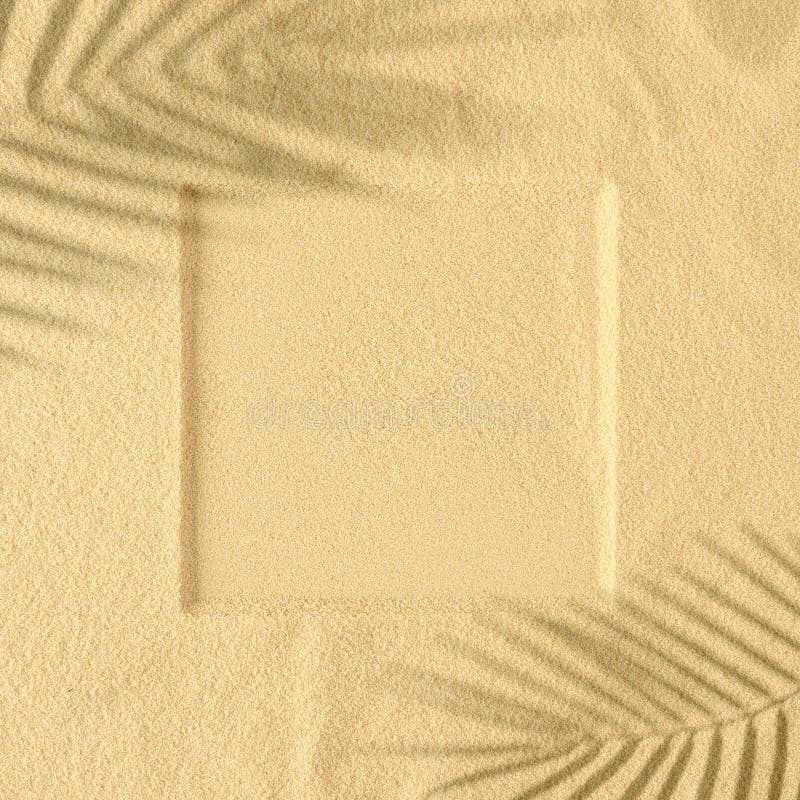 Creative Flat Lay with Tropical Leaf Shadow and Frame on Sandy ...