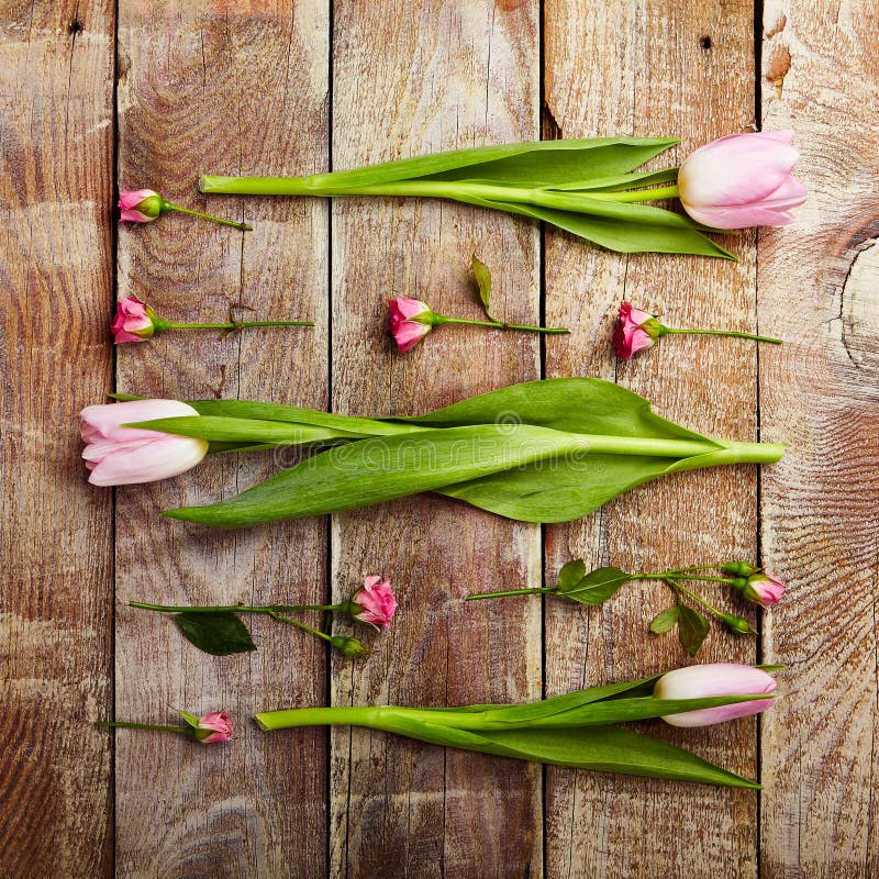 Creative Flower Background stock photo. Image of background - 84862648