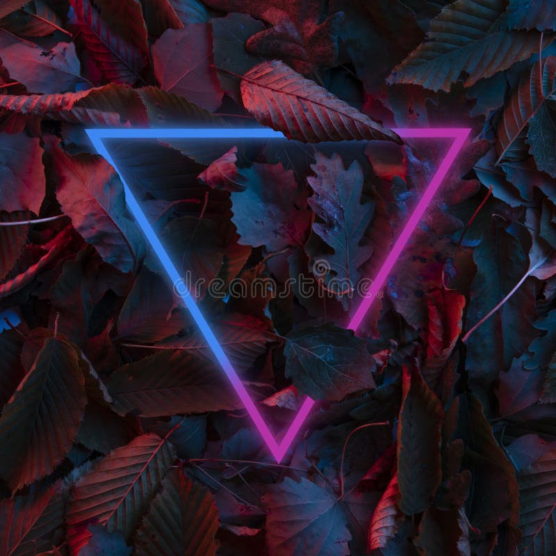 Creative Fluorescent Color Layout Made of Tropical Leaves. Flat Lay ...