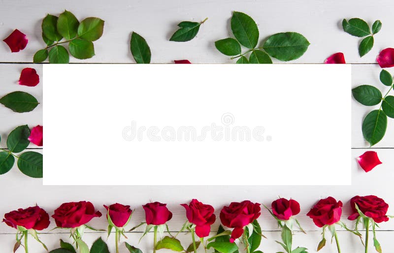 Creative Frame from Red Roses Pattern. Free Space for Text Stock Image ...