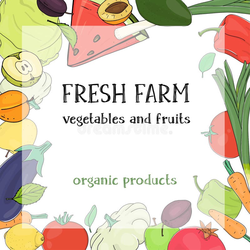 Creative Frame with Grocery. Space for Your Text Stock Vector ...