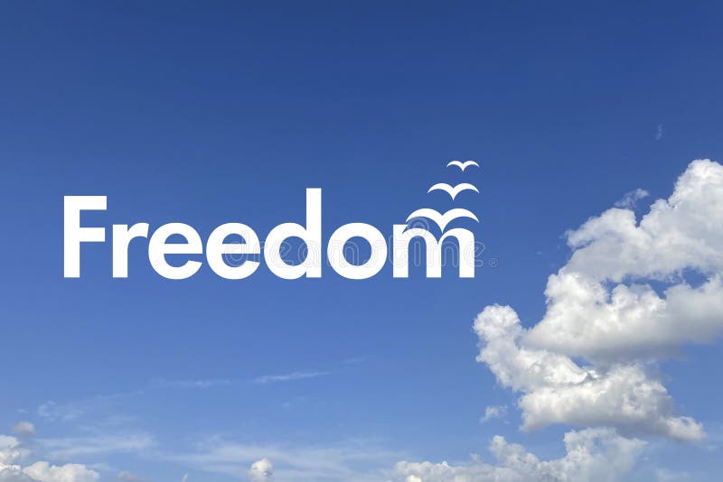 A Creative Freedom Concept with Some Birds Fry from the Letter M Stock ...