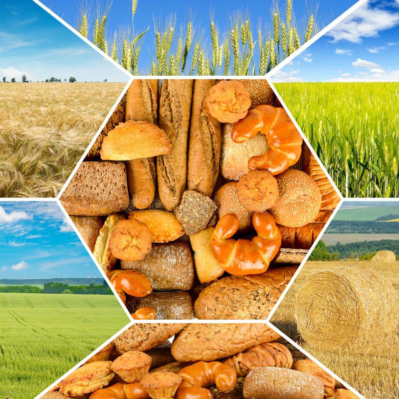 Carbohydrate Hexagon Structure Stock Photos - Free & Royalty-Free Stock ...