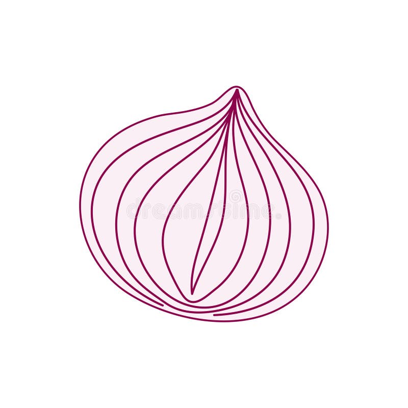 Creative Hand Drawn Red Onion Illustration, Clean Vector Lines with ...
