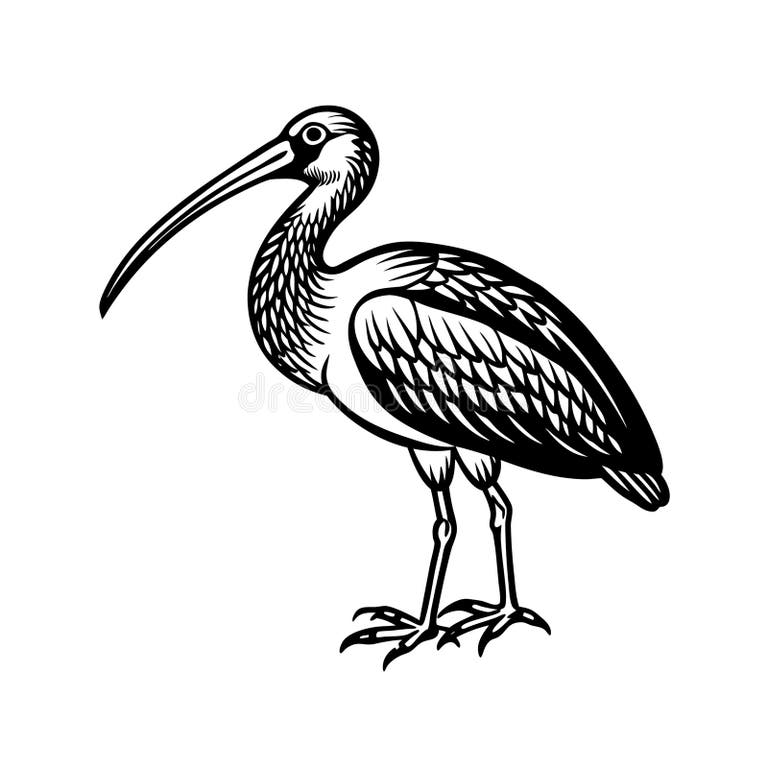 Creative Ibis Linocut Arts Activity Stock Illustration - Illustration ...