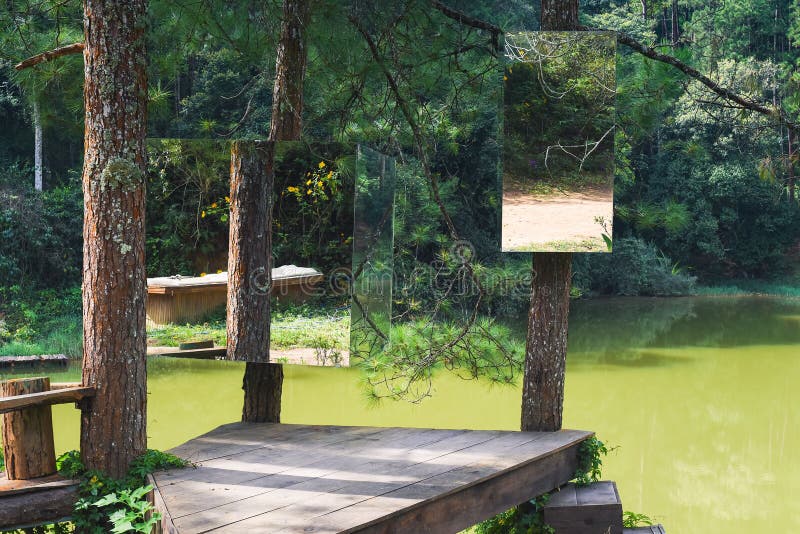 Creative Idea with Cube Mirrors on Trees in Pine Forest Against Lake in ...