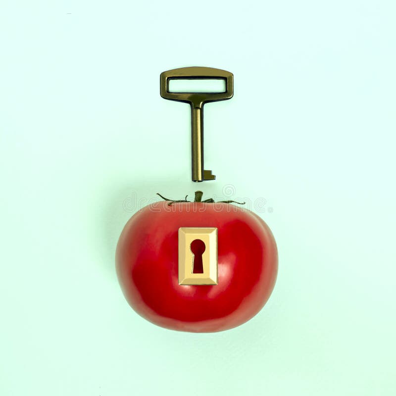 Creative Idea: Tomato with Lock and Key Stock Photo - Image of ...