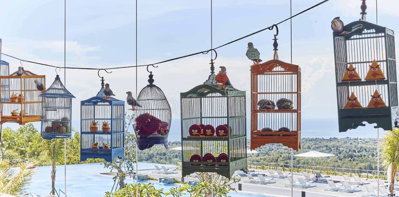 Creative Ideas, the Dish is Placed in a Cage To Make it Look More ...