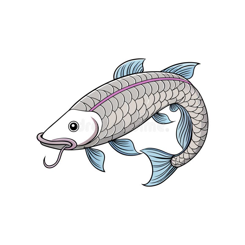 Arapaima Zoo Stock Illustrations – 32 Arapaima Zoo Stock Illustrations ...